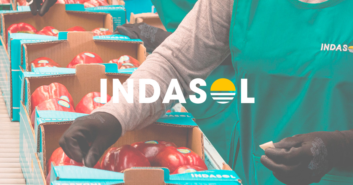 Trabaja con nosotros - Indasol